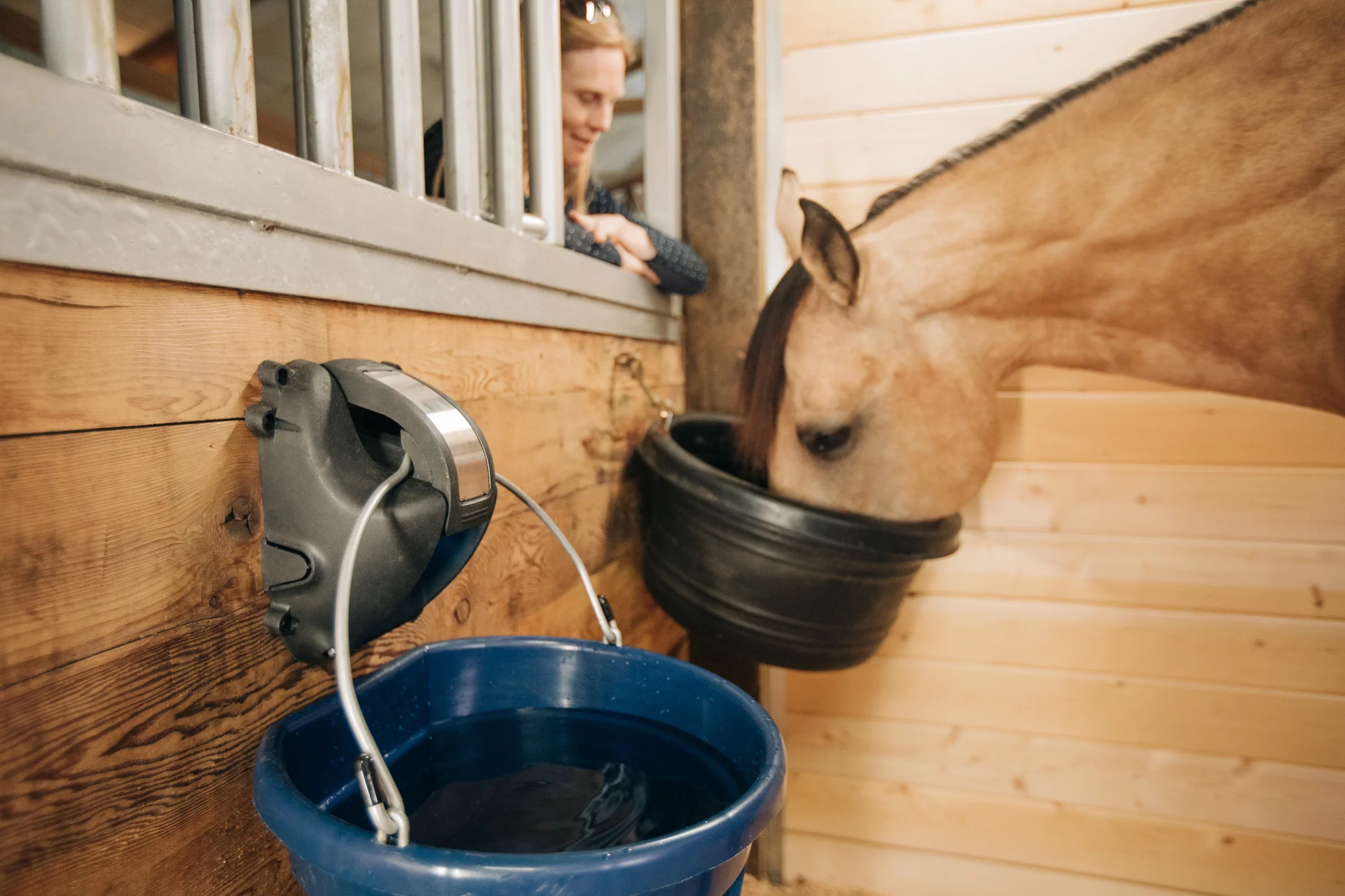 Best Tips for Choosing a Feed Store for Horses – Cook Feed & Outdoor