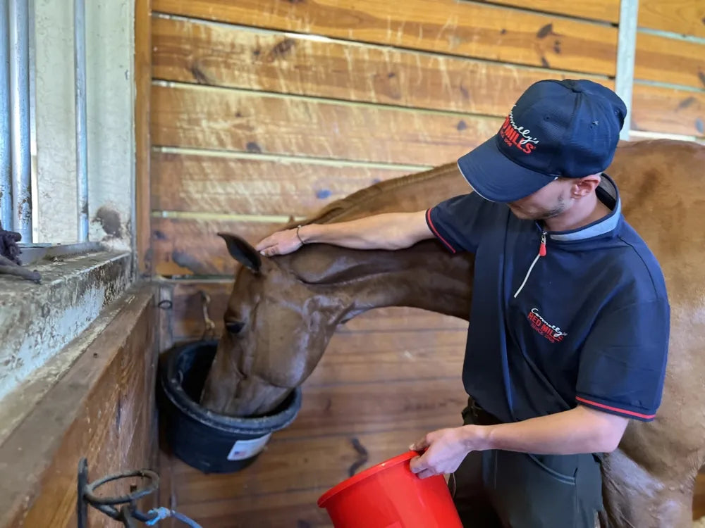 Triple Crown Feed Benefits for Horse Health & Nutrition – Cook Feed ...