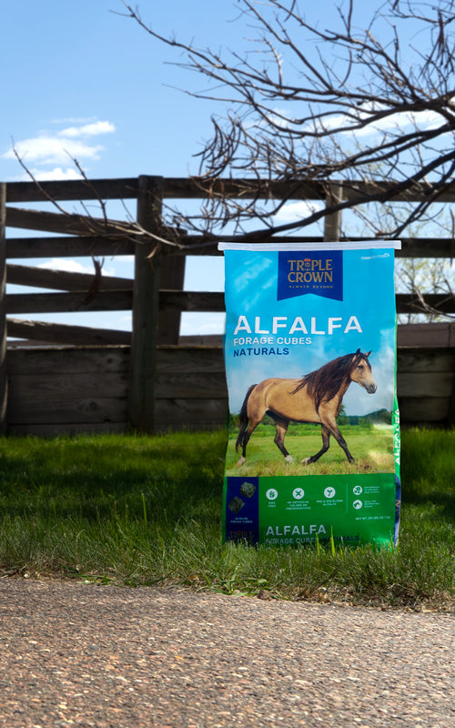 Alfalfa Cubes for Horses: Why They Matter & Where to Purchase – Cook ...