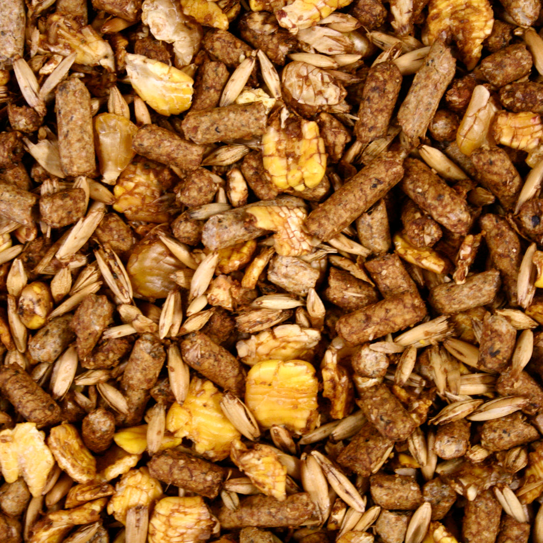 Horse Feed Brands | Shop Top Equine Nutrition in Oklahoma Stores – Cook ...